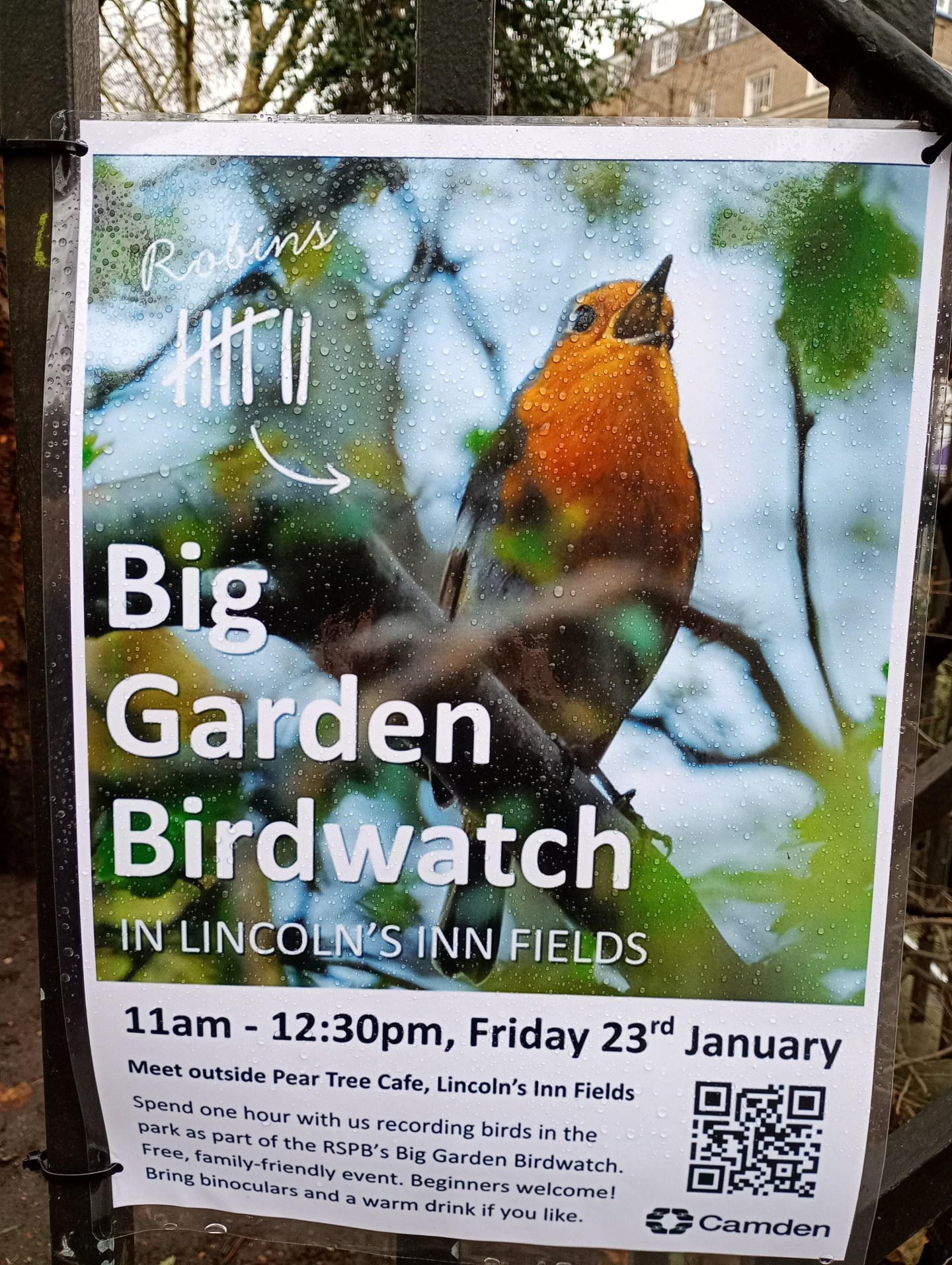 Coming soon: Join in Big Birdwatch, 23-25 January, in the Bloomsbury ...